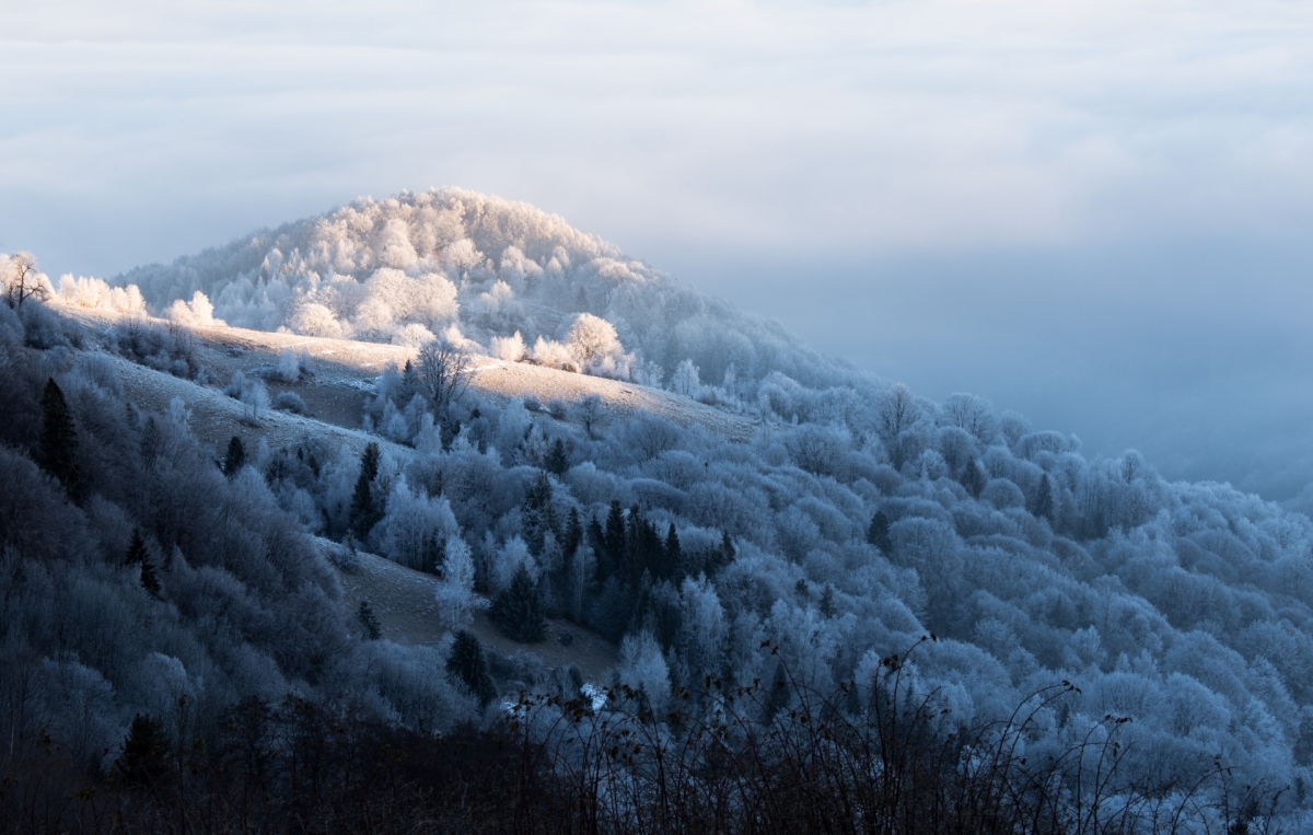 Hory a krajina / Mountains and Landscapes
